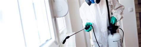 The 10 Best Bed Bug Exterminators In Cleveland Oh 2026