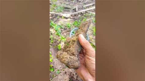 Chisel Pahat Bajak 1900s Metaldetecting2025 Shorts Youtube