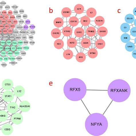 Processing The Protein Interaction Network With Cytoscape V382 A The