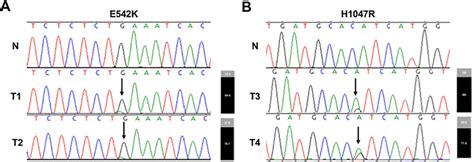 Subclonal Activating Pik3ca Hotspot Mutations In Sporadic Parathyroid Download Scientific