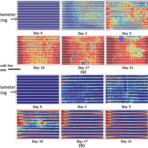 Optical Density Measurements Of Bacteria Solution In Actively Aerated