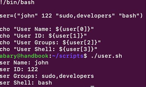 Write Bash Script For Your Sysyem By Alexiswebnerd0 Fiverr