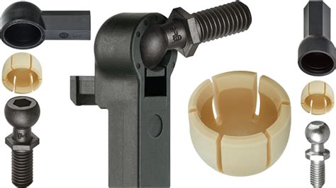 Inline Ball And Socket Joint Ball And Socket Joint Anatomy And