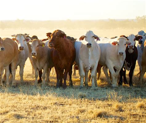 Frontier International Moves Fx Hedging Off A Spreadsheet Hedgebook