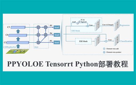 PPYOLOE Tensorrt部署教程超越YOLOv YOLOX