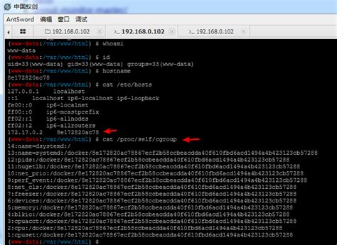 Docker逃逸 Hellobao 博客园