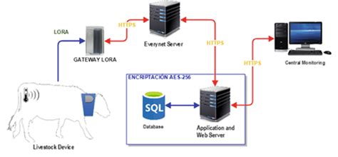 Local Operation Of The Solutions Download Scientific Diagram