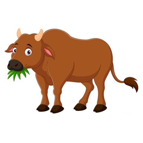 Katak Puru Dengan Lembu