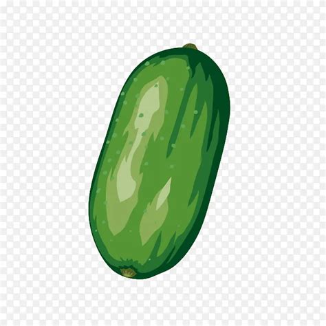 卡通冬瓜png图片素材下载图片编号9501184 Png素材网