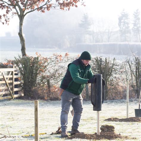 Plumcot Pluots And Aprium Hybrid Fruit A Comprehensive Guide Frank