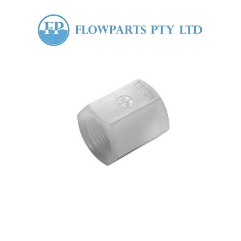 Tefen Bspt Female Pipe Coupling Pvdf