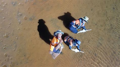 Stephen Beatty Posted On Linkedin