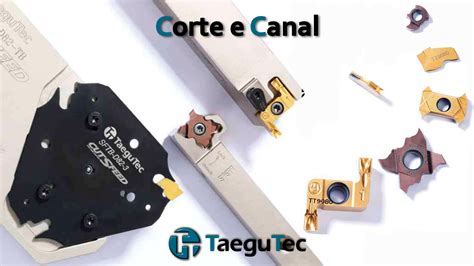 Florencio Equipamentos Industriais Distribuidor Taegu