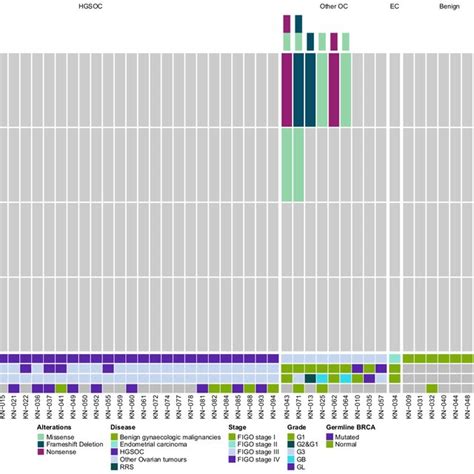 Oncoprint Of Gynaecologic Tumour Tissue Sample Mutation Data
