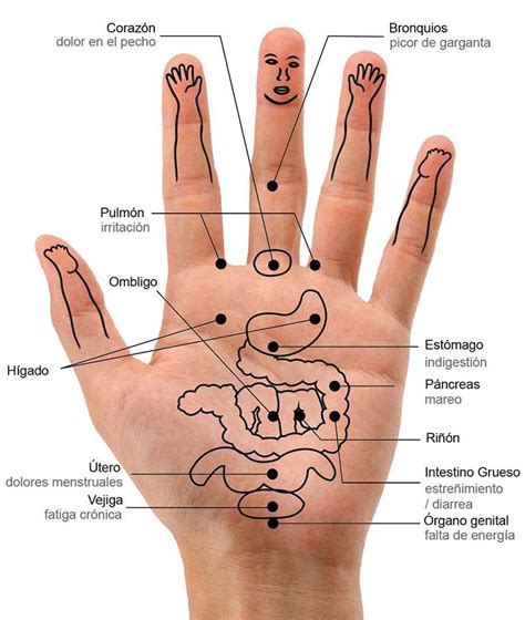 8 Ideas De Terapia De La Mano Terapia De La Mano Beneficios De La