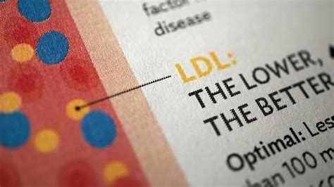 Reflections On The Current And Future State Of Ldl Lowering