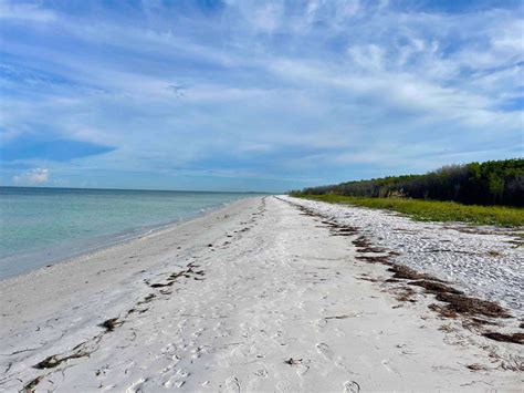 Best Beaches In Tampa The Ultimate Guide To Sun And Sand