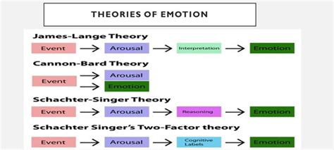 Theories Of Emotion