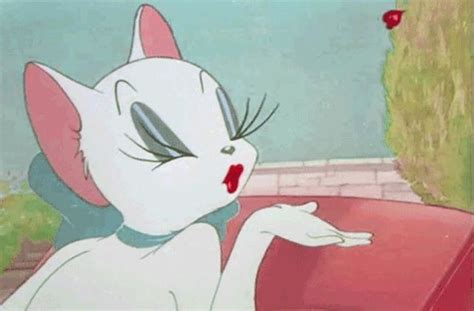 Toodles Galore Aesthetic White Cat Tom And Jerry Tom And Jerry
