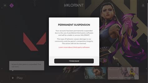 False Third Party Permanent Suspension Valorant