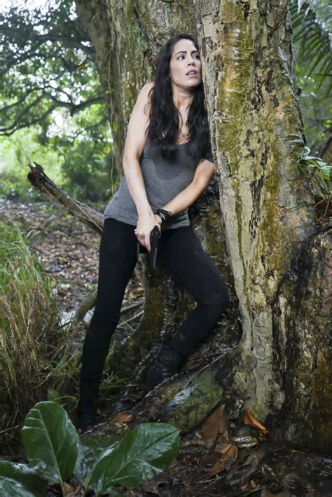Photos Hawaii Five 0 — Are Steve Mcgarrett And Catherine Rollins