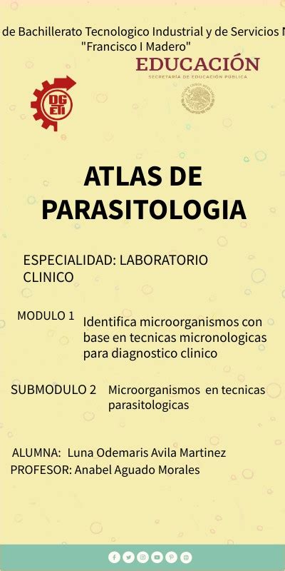 Tipos De CÉlulas InfografÍa Vertical Genially