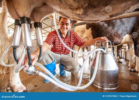 Cow Milk Chinese Meaning At Edward Acosta Blog