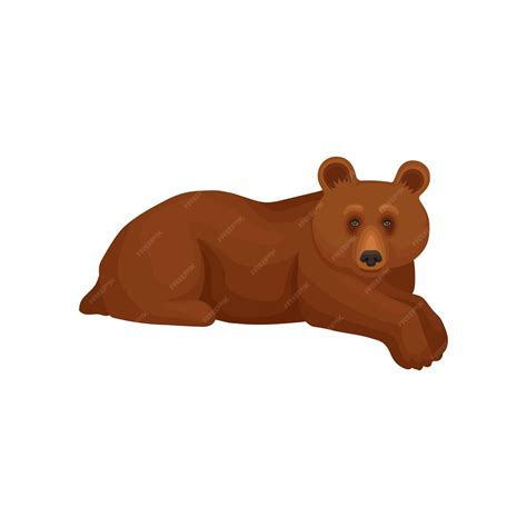 Premium Vector Cute Big Bear Lying Isolated On White Background