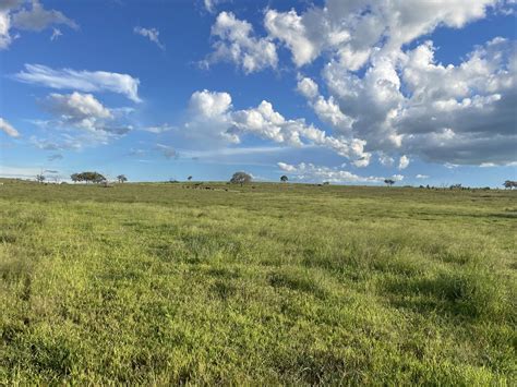 Sold Rural Property Eidsvold Qld 4627