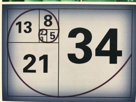 Sql 汇总分析 知乎