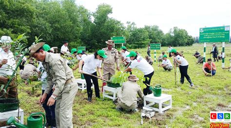 Tree Planting Activities Yum Yum