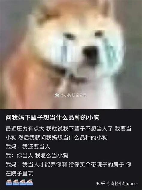 你看那通天巨塔，每时每刻有人往下跳20221003 知乎