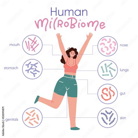 Different Types Of Human Microbiome Infographic With Girl Character