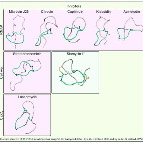 Structures Of Lasso Peptides With A Known Molecular Target Microcin Download Scientific