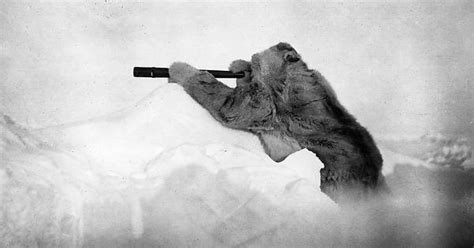 8 Pictures From National Geographic That Made Photographic History