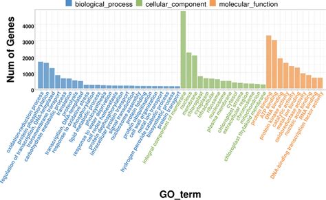 Go Analysis Of Degs In The Seven Temperature Comparison Groups The Y