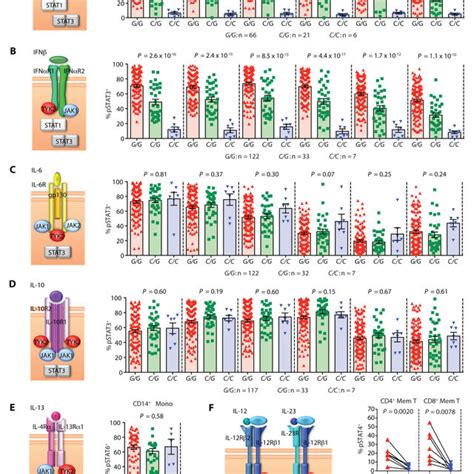 Cytokine Induced Stat Phosphorylation By Rs34536443 Genotype In Primary