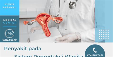 Penyakit Pada Sistem Reproduksi Wanita Klinik Raphael