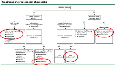Pharm Pharyngitis Objectives Flashcards Quizlet