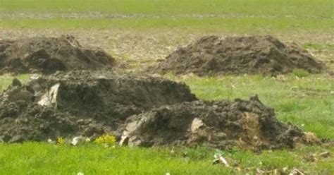 Biosolids Rep Questions Epa Risk Rating Field Crop News