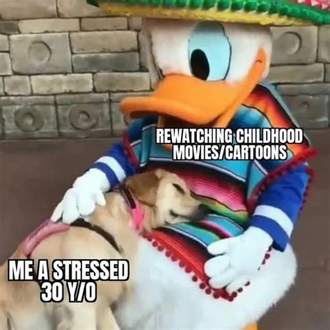 The Latest Memes Memedroid