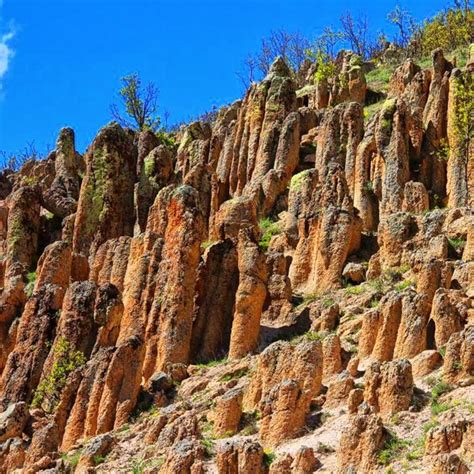 Buban Bacaları › Gezi Rehberi Merkez Bingöl