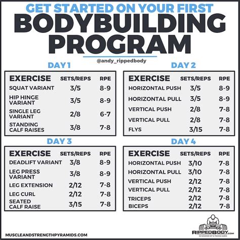 Bodybuilding For Beginners At Shenika Stutler Blog