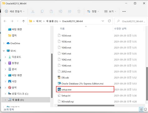 Database Dbms 설명 Oracle Dbms 설치하기