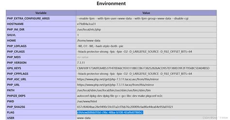 Ctfshow 探针泄露tzphp Csdn博客