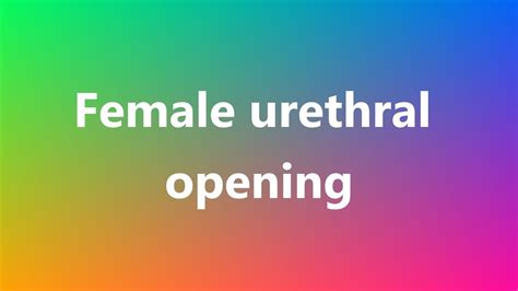 Female Urethral Opening Medical Definition And Pronunciation Youtube