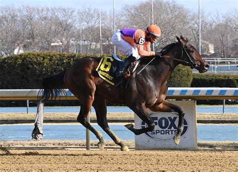 Uncle Mo Colt A Second Out Winner At Aqueduct