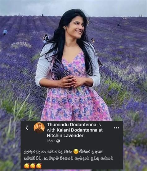 Sandun S A N D U N • Instagram Photos And Videos