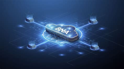 Brain Network Analytics Bna™ Firefly Neuroscience