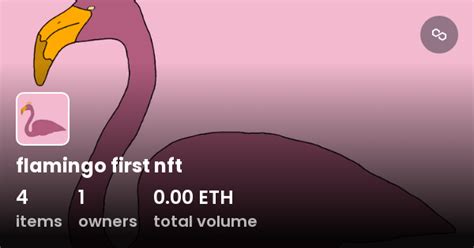 Flamingo First Nft Collection Opensea